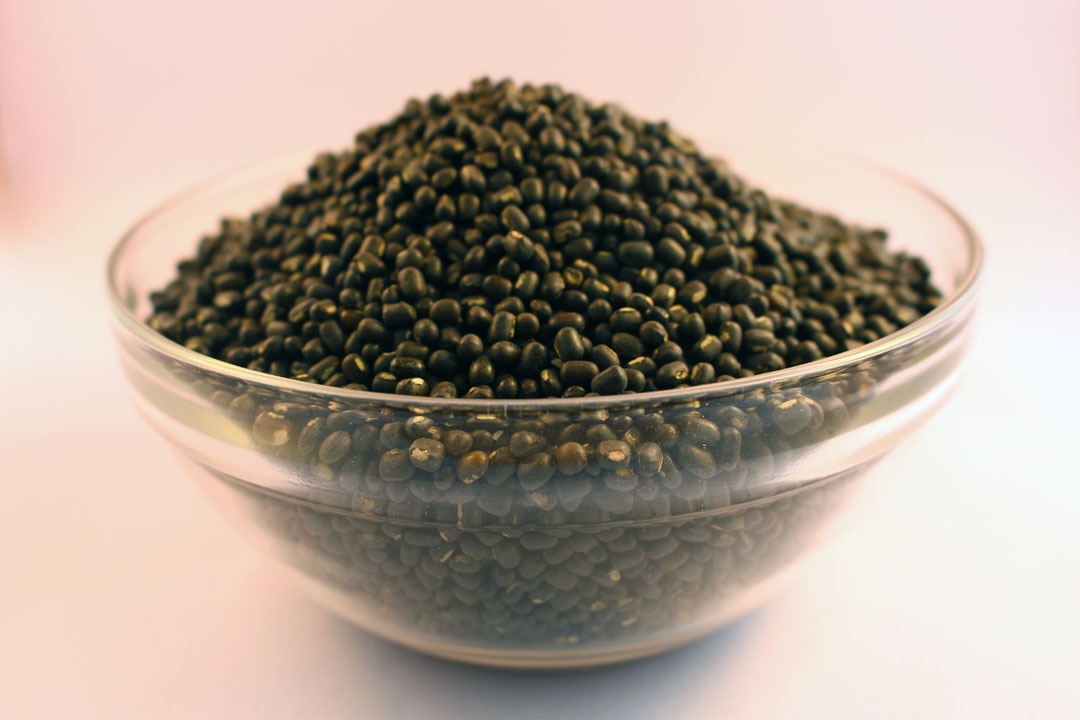 Urad Black Gram Whole Samruddhi Organic Urad Black Gram Whole Samruddhi Organic
